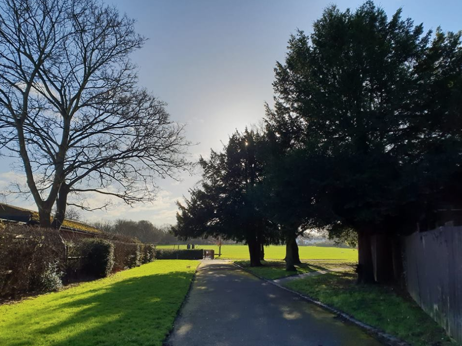 Progress update - Friends of Kings Meadow